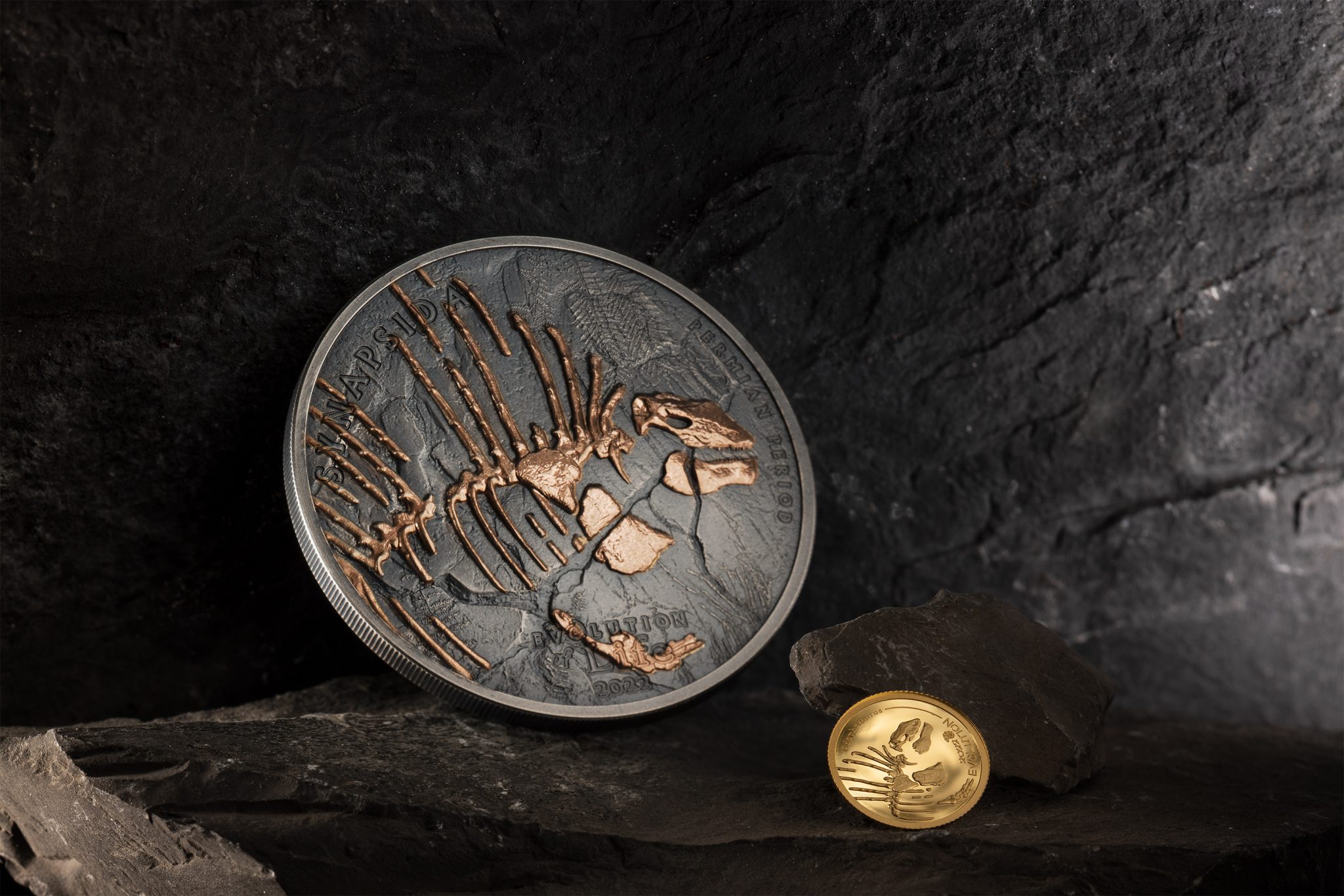 Mongolia - 2022 - 500 Togrog - Synapsida Evolution of Life - NumisCollect