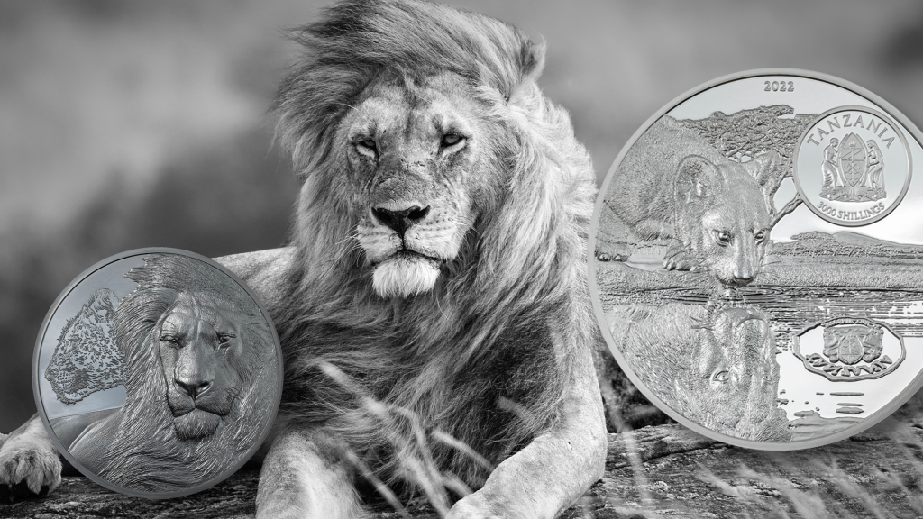 Tanzania - 2022 - 3000 Shillings - Lions Growing Up 5oz edition ...