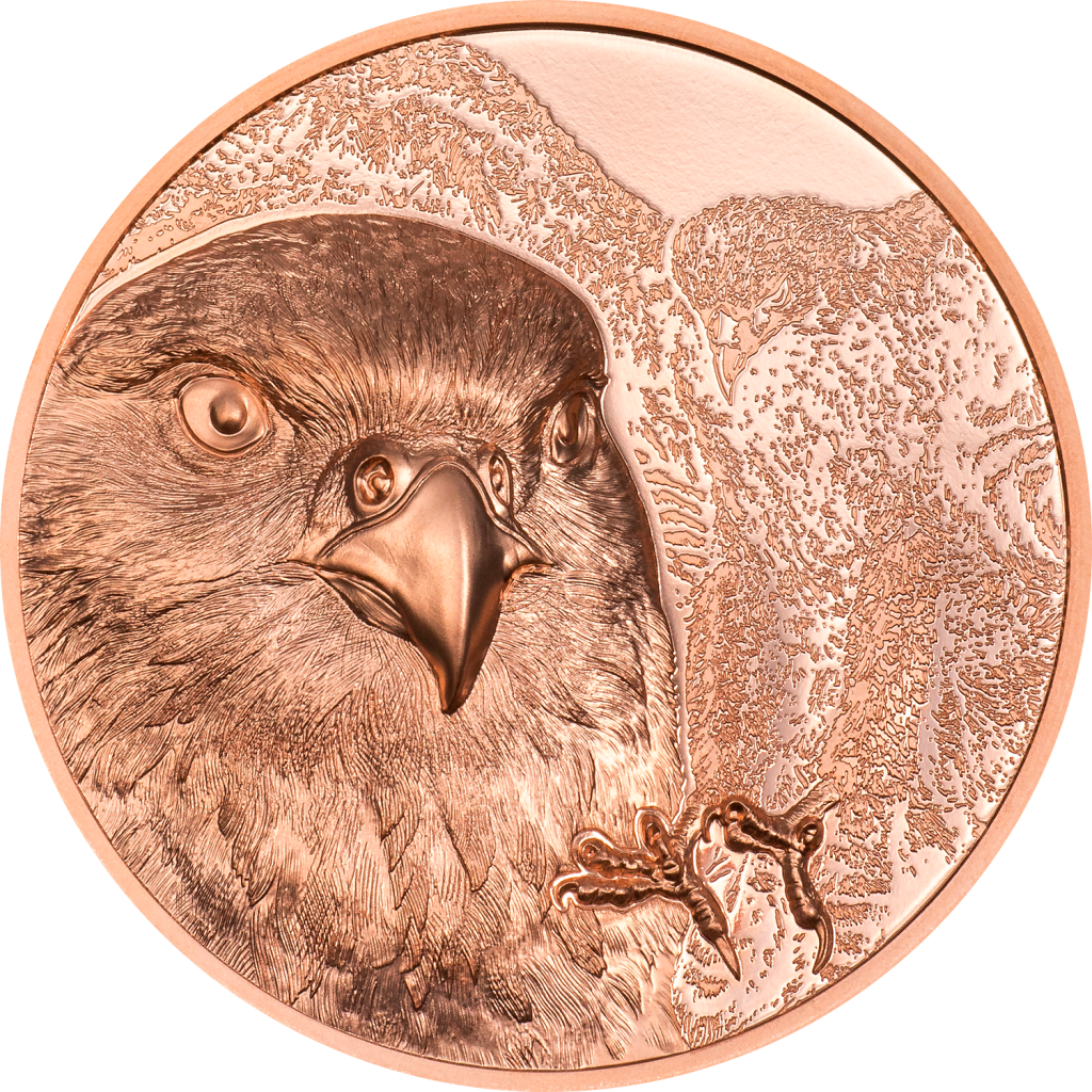 Mongolia - 2023 - 250 Togrog - Mongolian Falcon 50g COPPER - NumisCollect