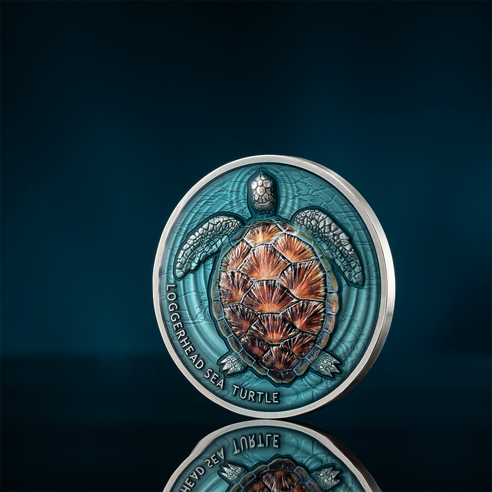 Niue - 2023 - 5 Dollars - Loggerhead Sea Turtle Lifelong Journey ...