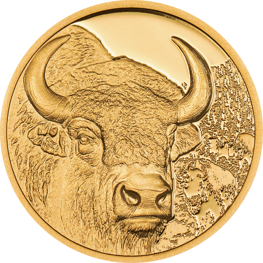 Mongolia - 2025 - 1000 Togrog - Mongolian Bison 1/10oz GOLD (Wild ...