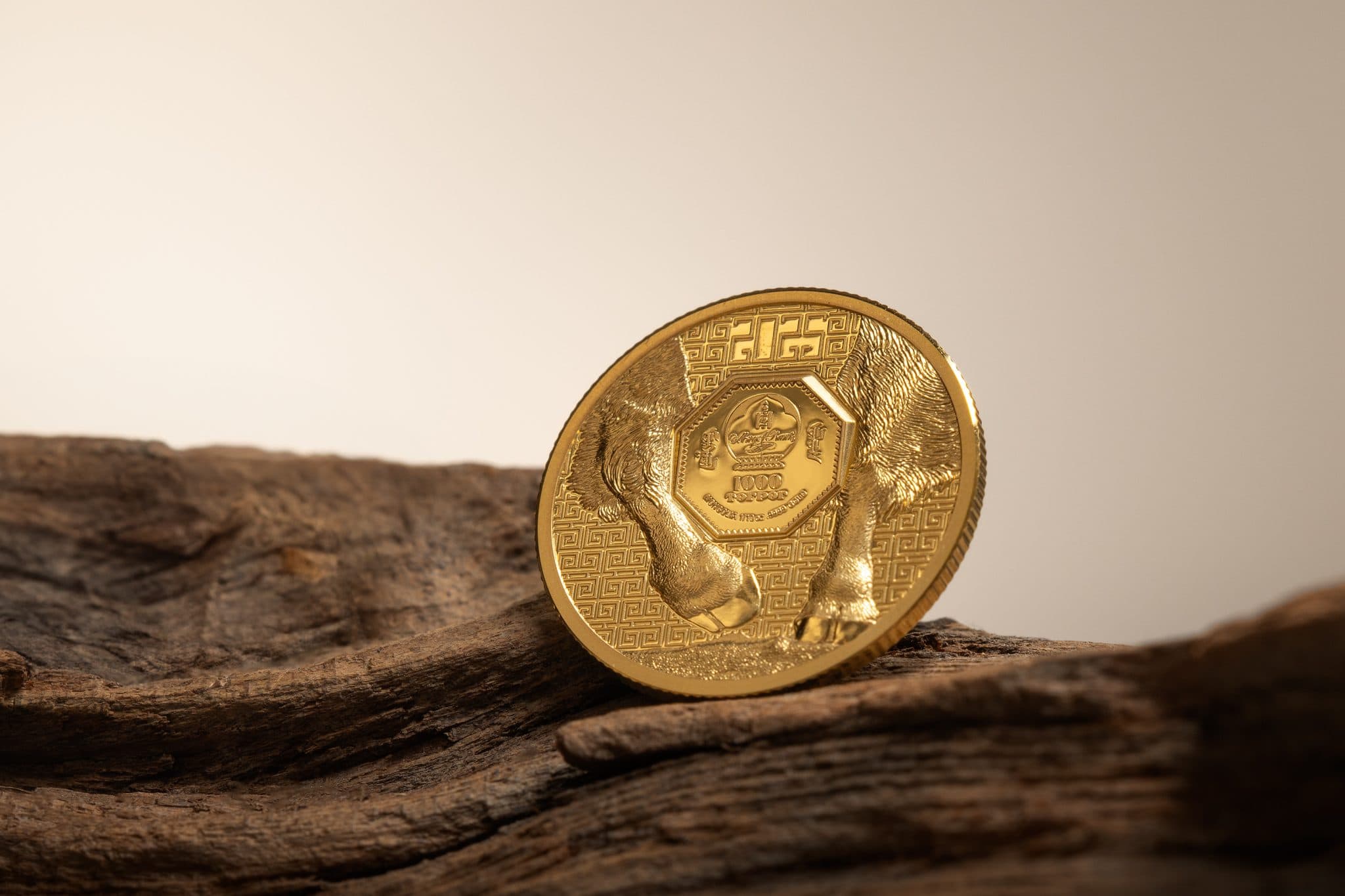 Mongolia - 2025 - 1000 Togrog - Mongolian Bison 1/10oz GOLD (Wild ...