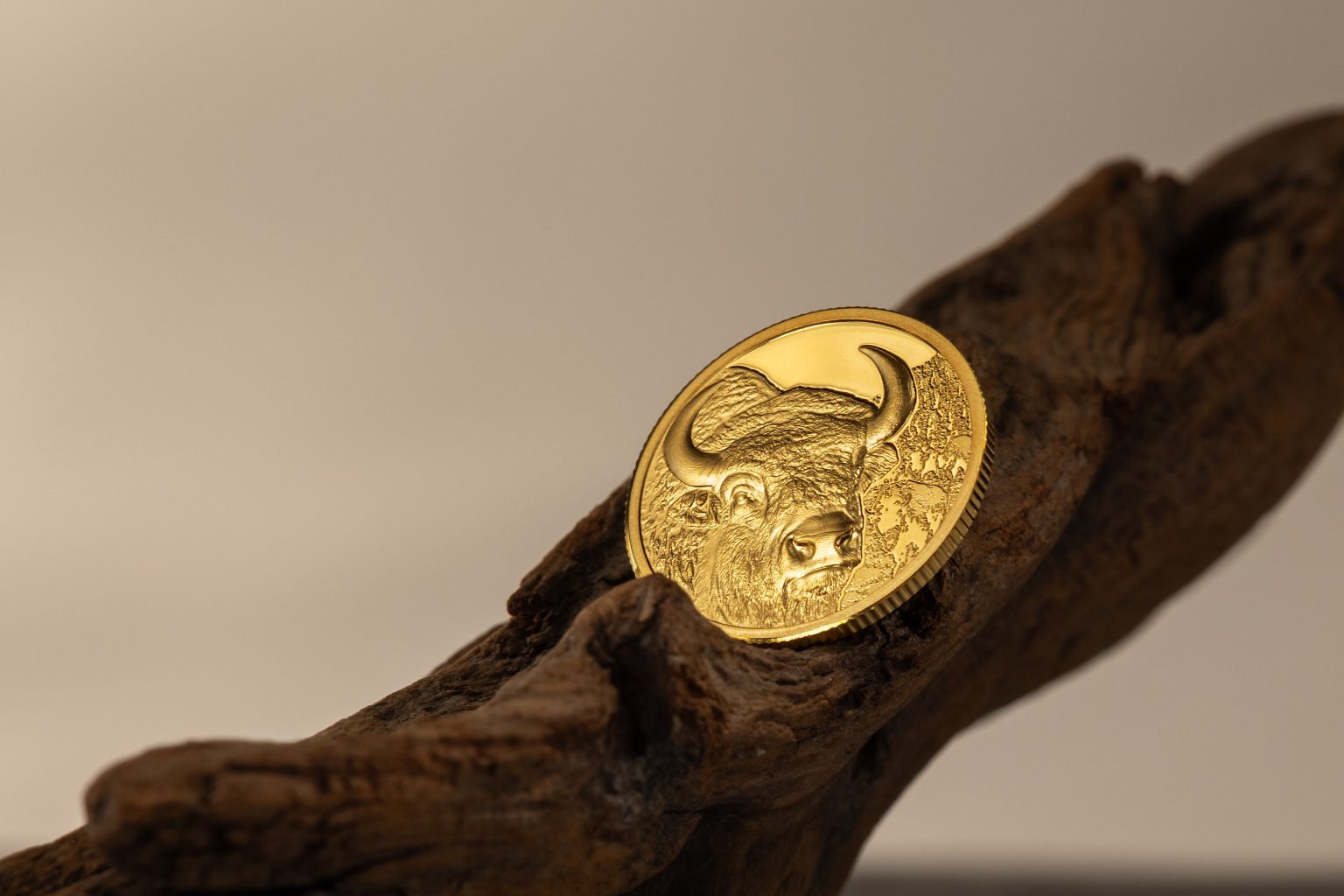 Mongolia - 2025 - 1000 Togrog - Mongolian Bison 1/10oz GOLD (Wild ...