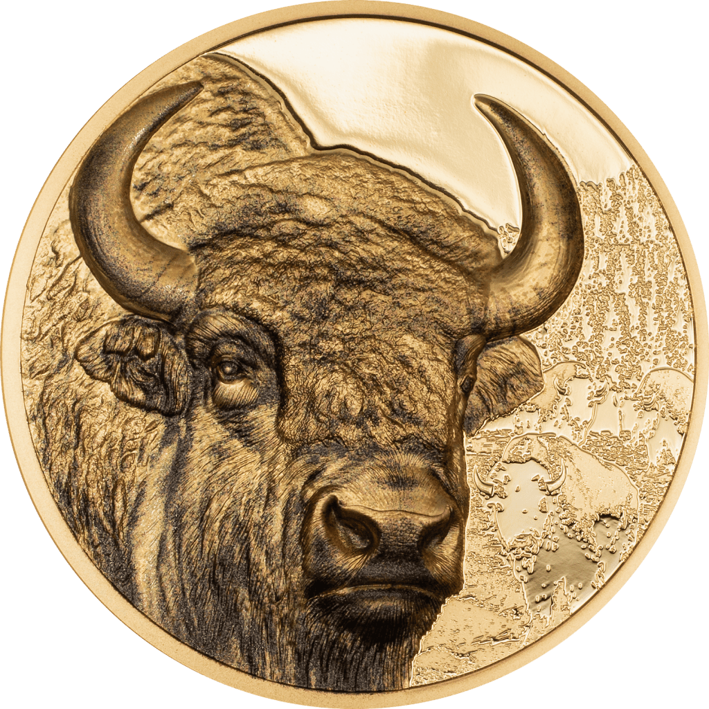 Mongolia - 2025 - 25000 Togrog - Mongolian Bison 1oz GOLD (Wild ...