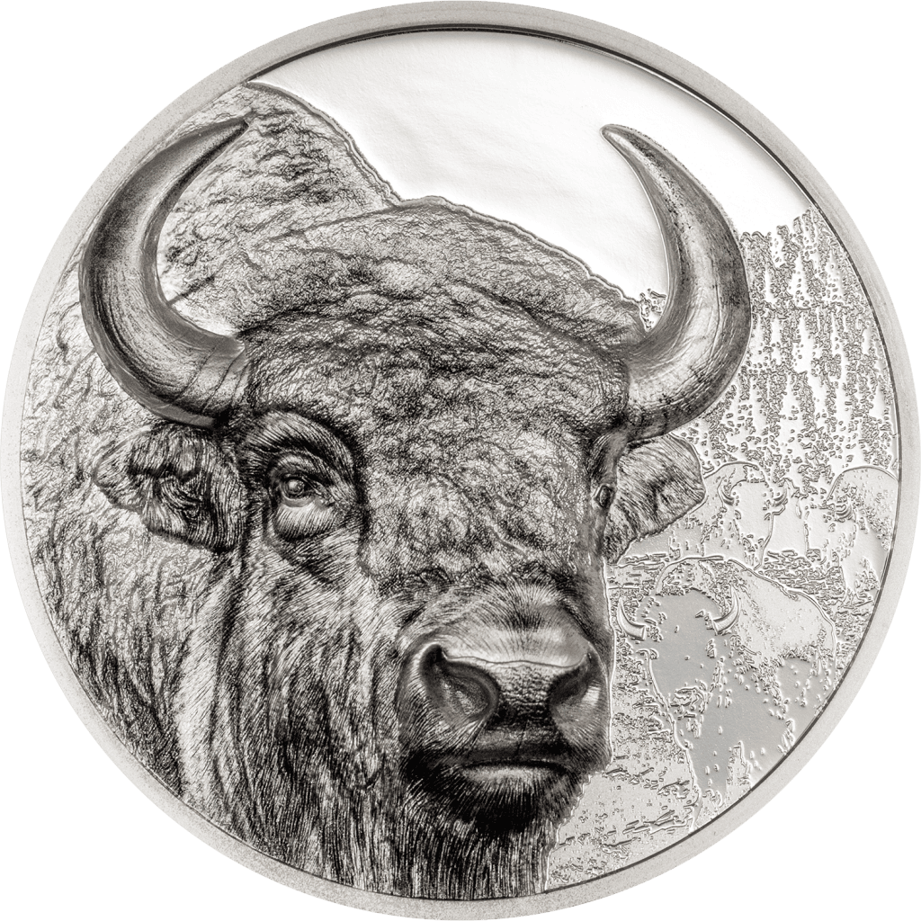 Mongolia - 2025 - 2000 Togrog - Mongolian Bison 3oz SILVER (Wild ...