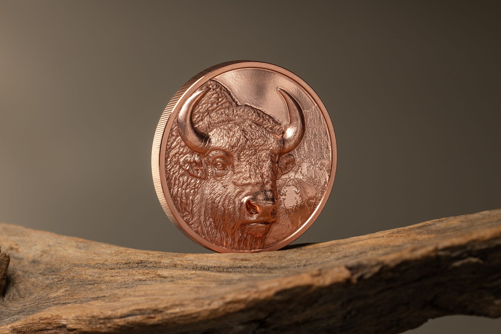 Mongolia - 2025 - 250 Togrog - Mongolian Bison COPPER (Wild Mongolia ...